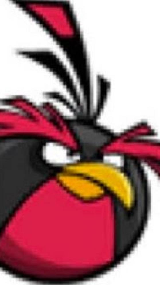 Кто знает, что это за птица ❓🐓 #Shorts