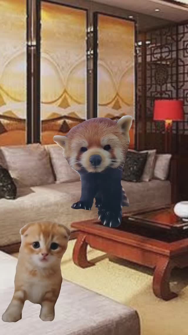 Недели котёнок Shorts (26)