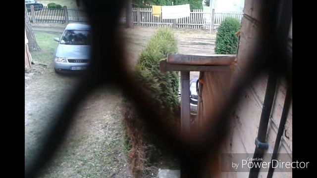 Полудурок (2017)