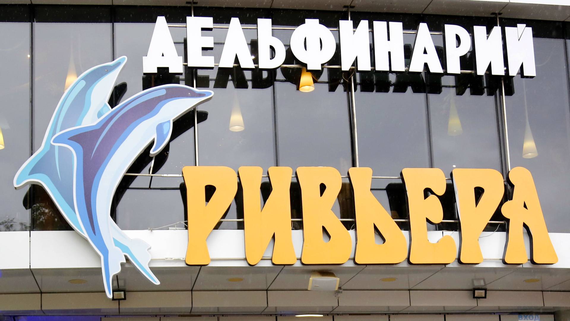 Дельфинарий