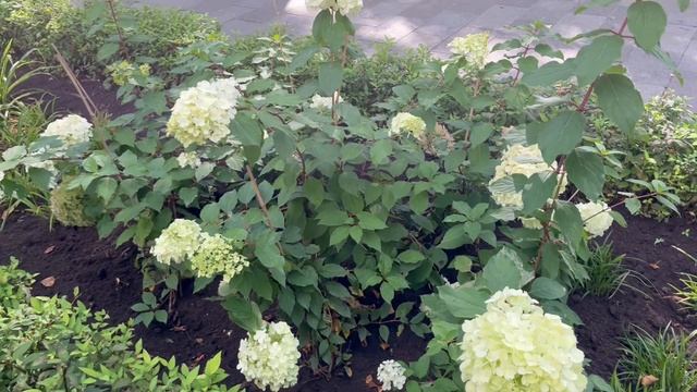 С.Р.В_Парк-2_07-09-2025