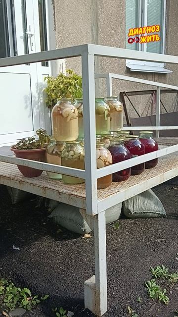 КОМПОТ И ЦВЕТЫ....