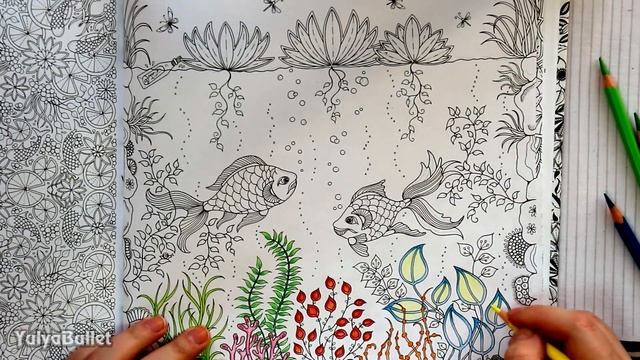 Таинственный сад | Раскраска антистресс | Рыбки в пруду #1