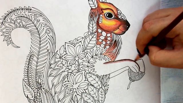 Зачарованный лес | Раскраска антистресс | Осенняя белочка #1