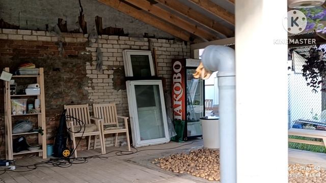 У нас в огороде, уборка картошки, сентябрь 2025