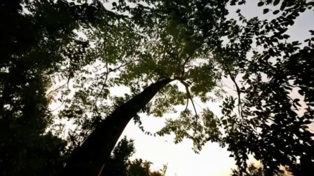 Дочь и отец| Как распаковать силу и опору в себе | Трансовая сказка для женщин