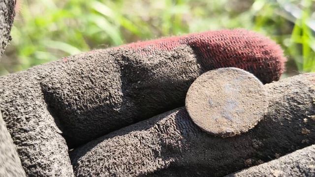 Полушка Елизаветы. Поиск с металлоискателем EQUINOX 900 #20