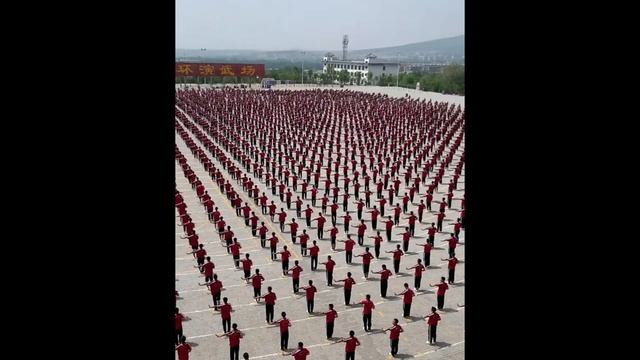 Великолепная отточенность и синхронизация движений Школа Чжунюэ Шаолинь Вэньу #ушукунгфу #таолу #ушу