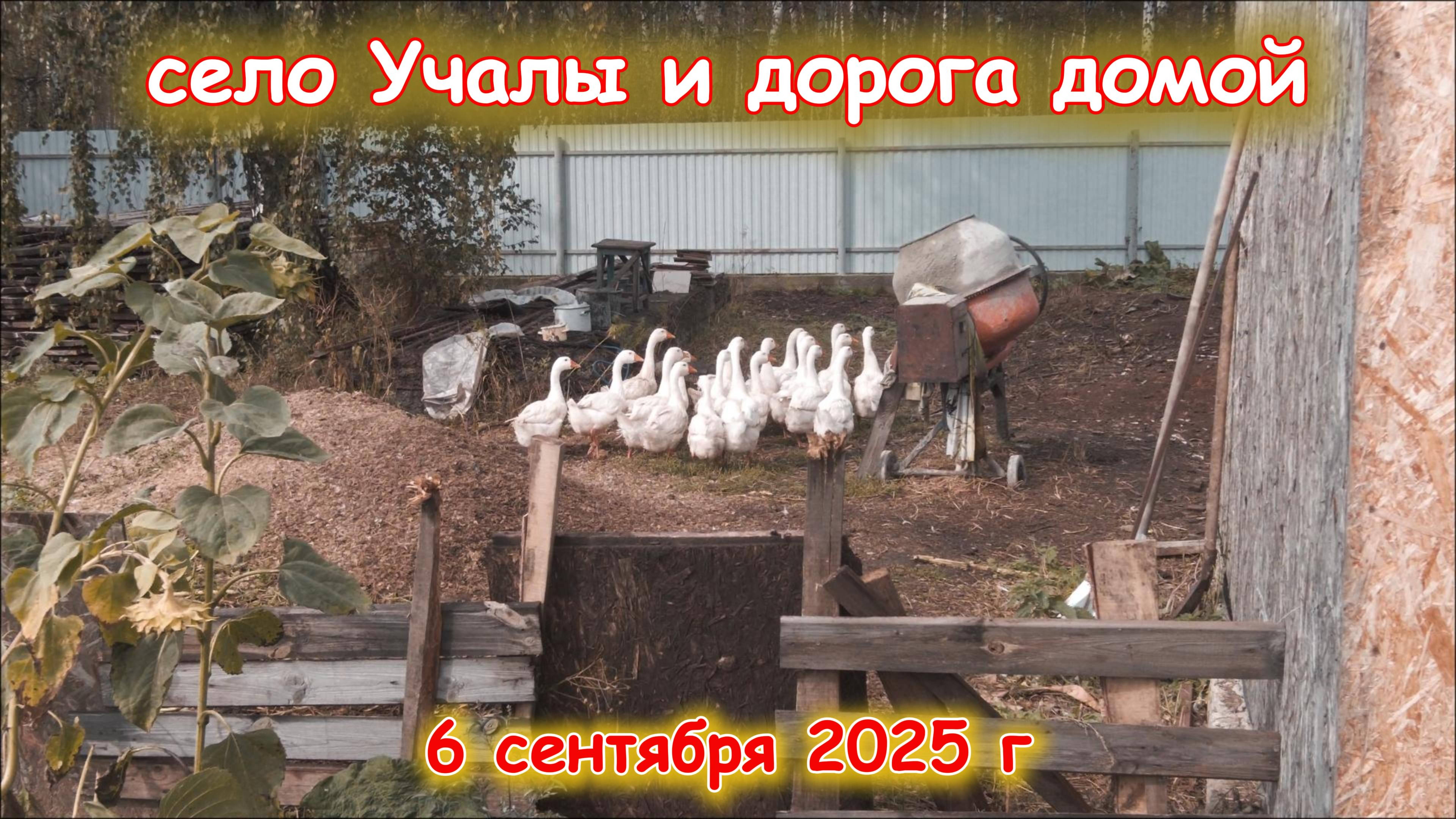 Дорога Учалы-Челябинск 6 сентября 2025 г