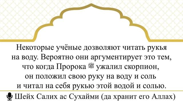 286) Об условиях для правильной рукьи и о мошенниках, которые на этом зарабатывают I Салих Сухайми