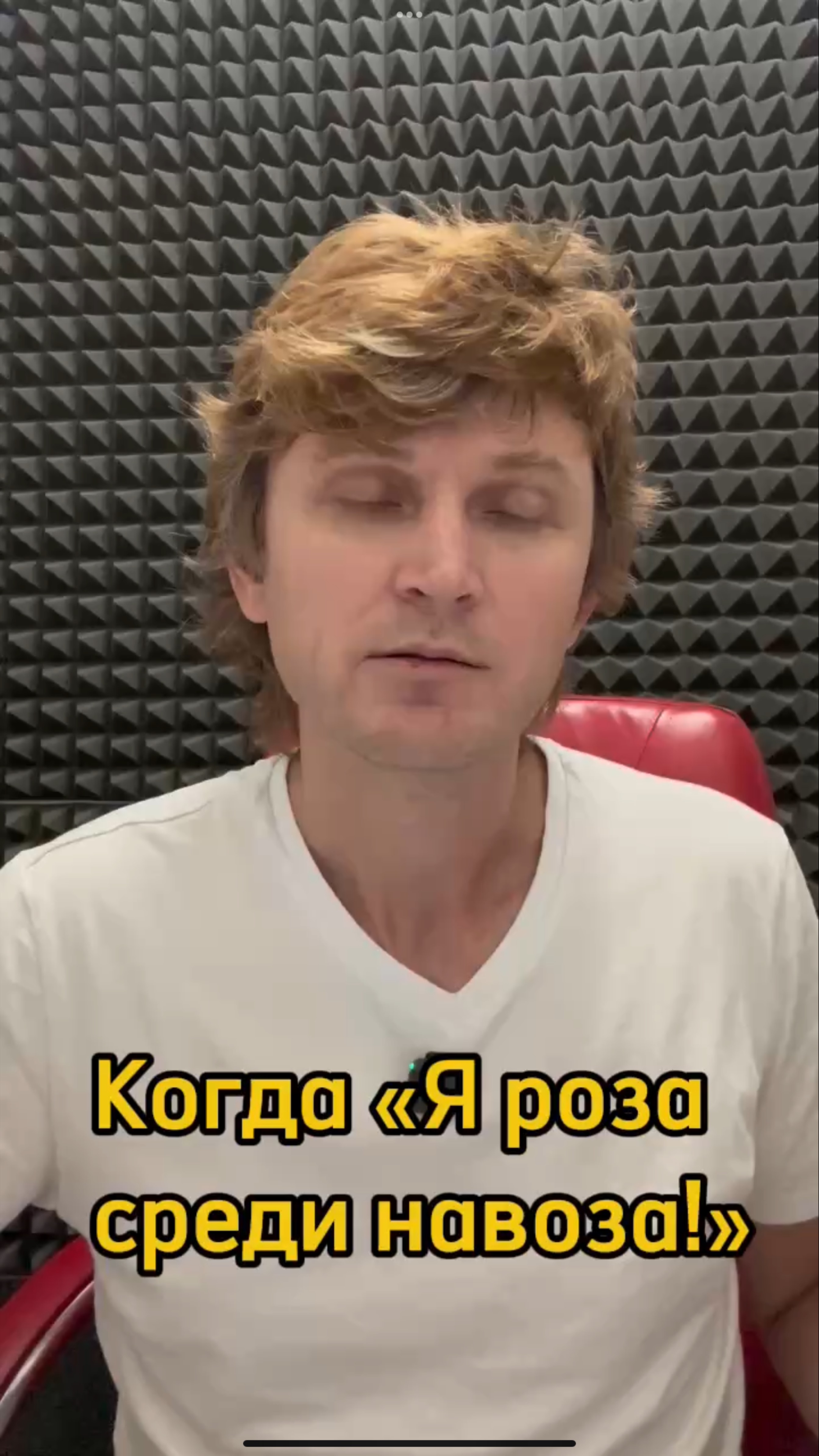 Когда «Я роза среди навоза!»