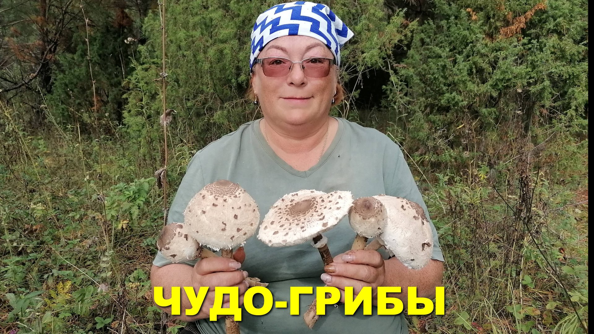 Пошли в ЛЕС за РЫЖИКАМИ ! Нашли ЧУДО-ГРИБЫ! И нас чуть не  СМЫЛО ДОЖДЁМ!