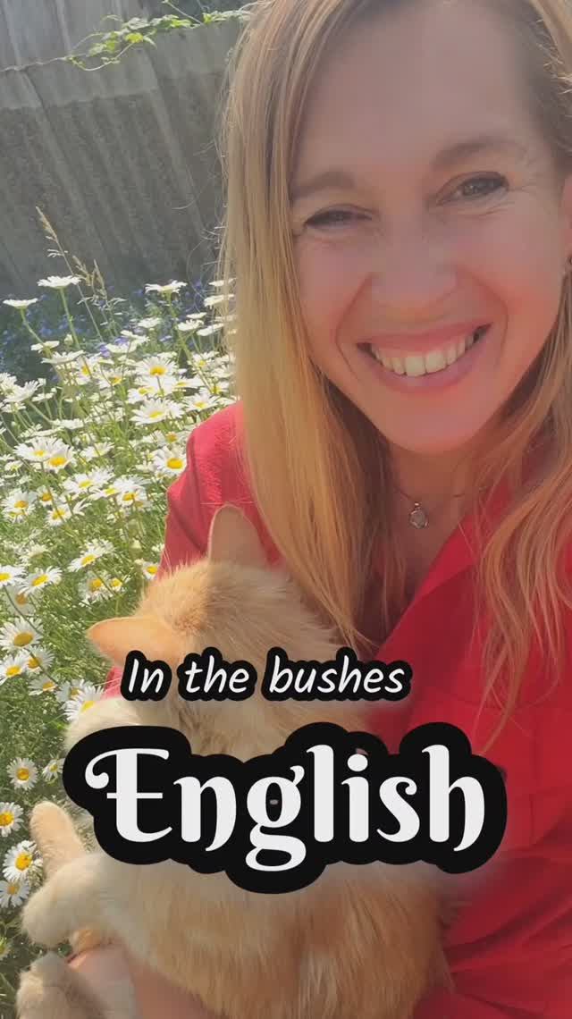 Ромашки🌼DAISY или CHAMOMILE ?