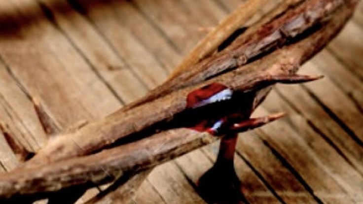 Я возлюбил тебя до рождения  ❤️☦️🎶🎶 Красивая христианская песня