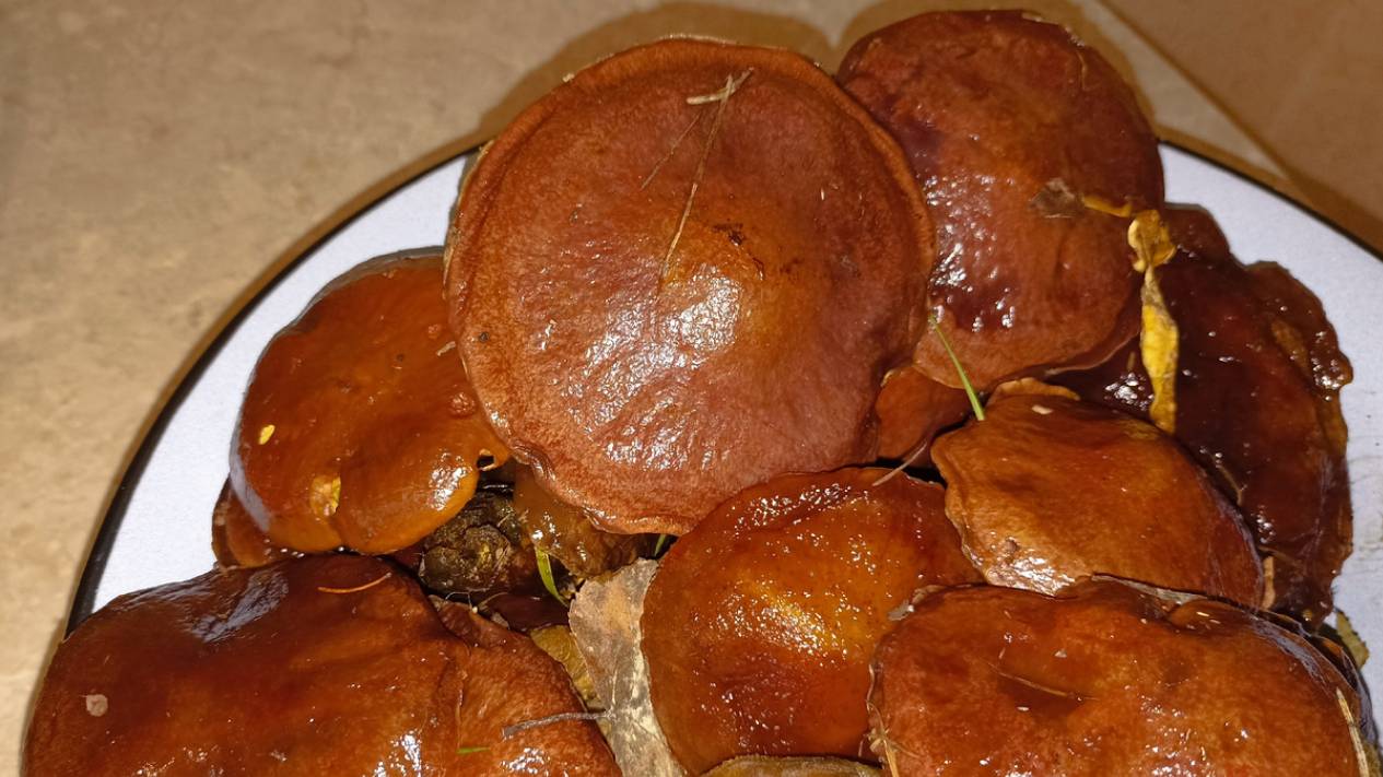 Жареный картофель с грибами.mp4