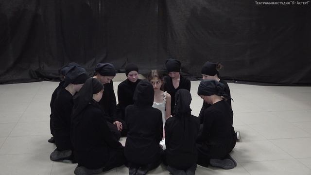 Дикие лебеди. реж. Е. Романова, О. Ведерникова