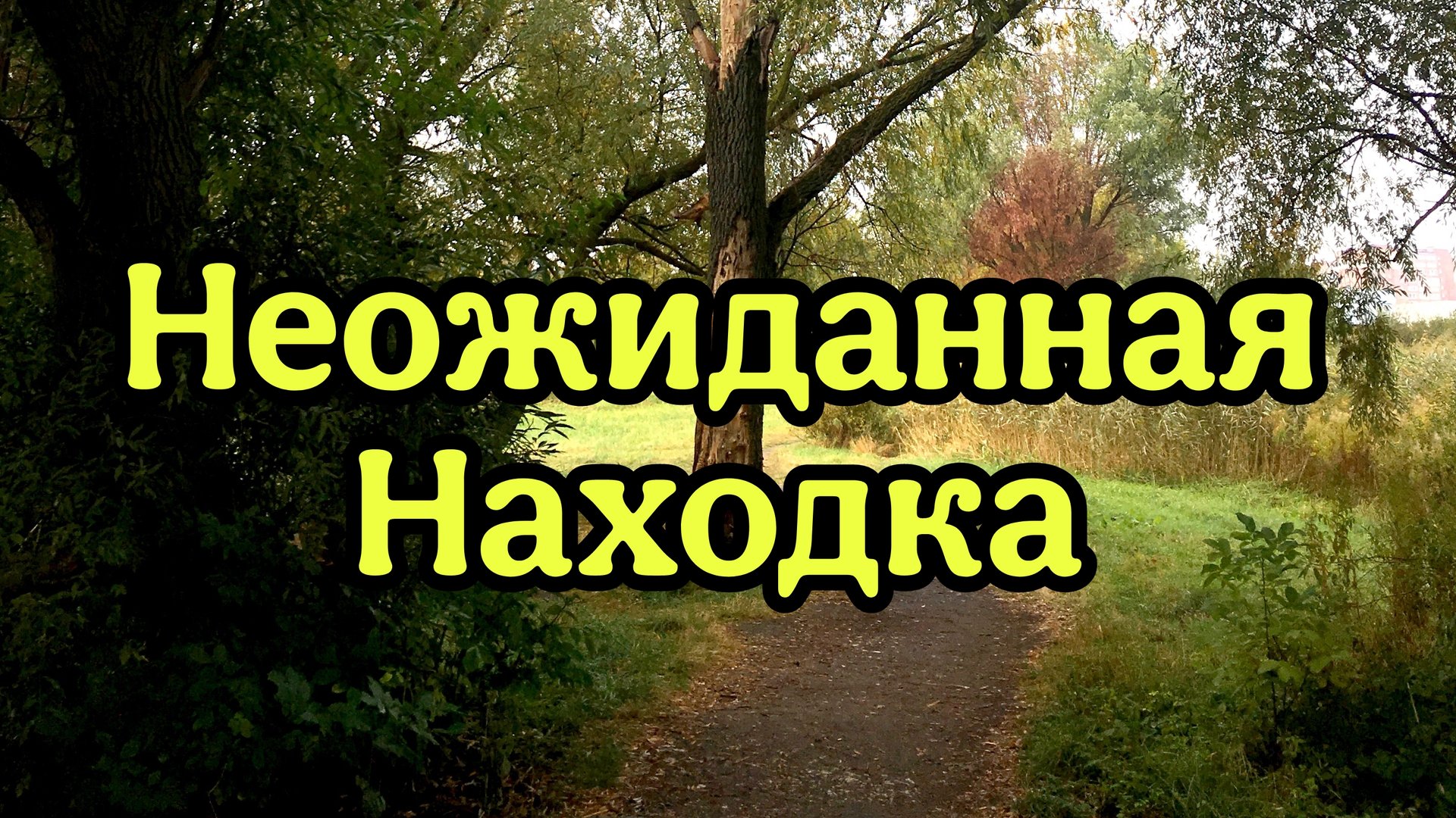 Неожиданная находка.