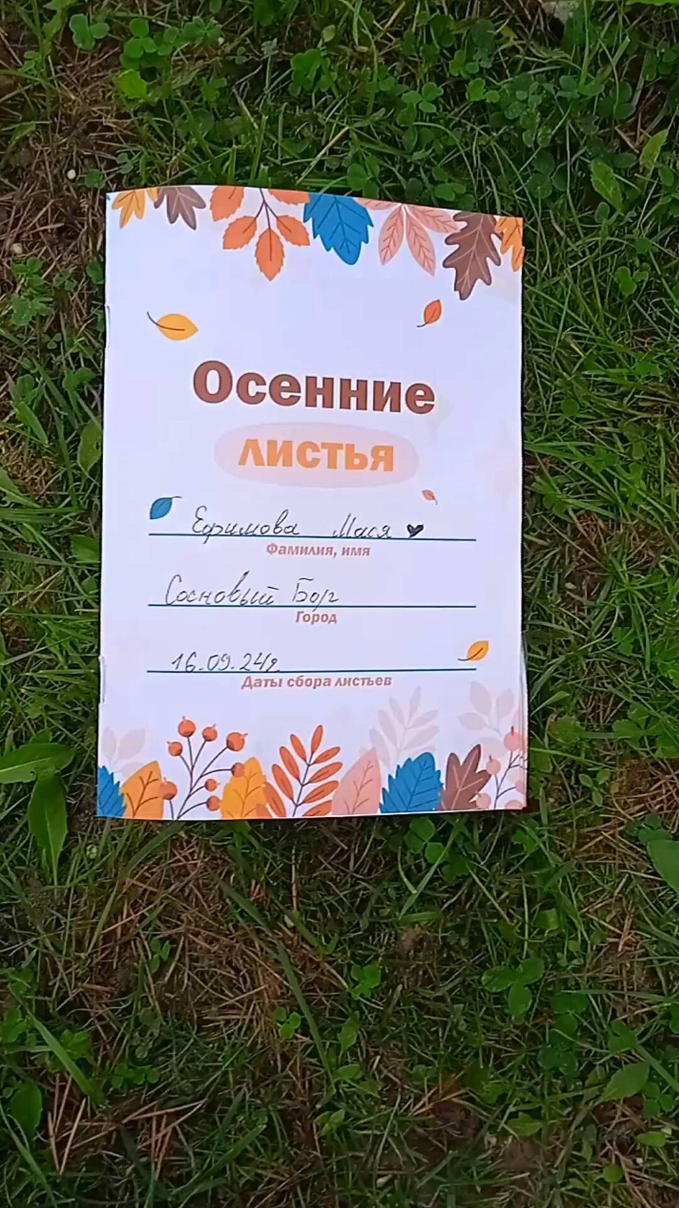 КНИГА-ГЕРБАРИЙ «ОСЕННИЕ ЛИСТЬЯ» #осень #поделки