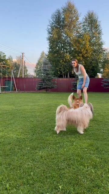 Красавчик Велес