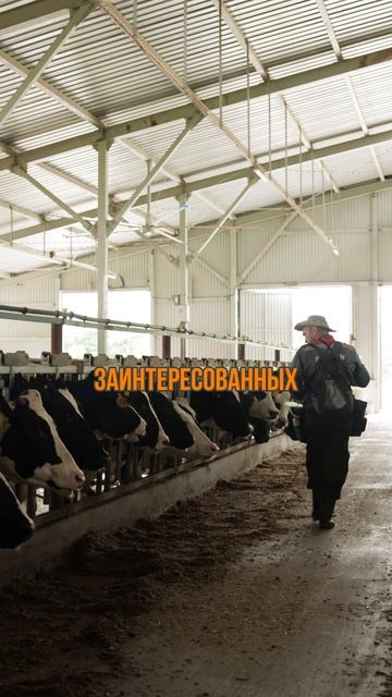 🤝Дружный коллектив – наша незаменимая опора в работе!