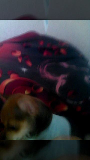 Новая шмотка!