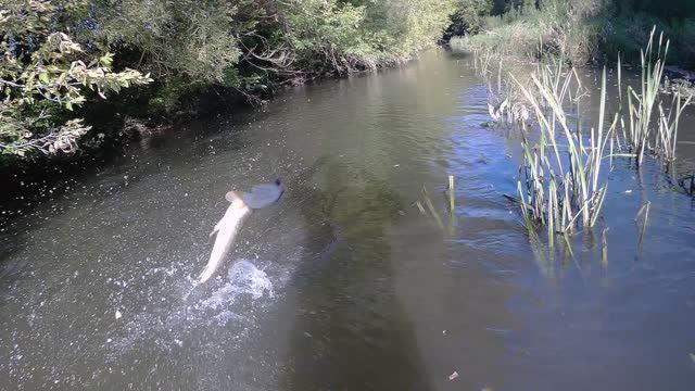 РЫБАЛКА на СПИННИНГ в 2025-ом!!! ОСЕННИЙ ТРОФЕЙ!!!