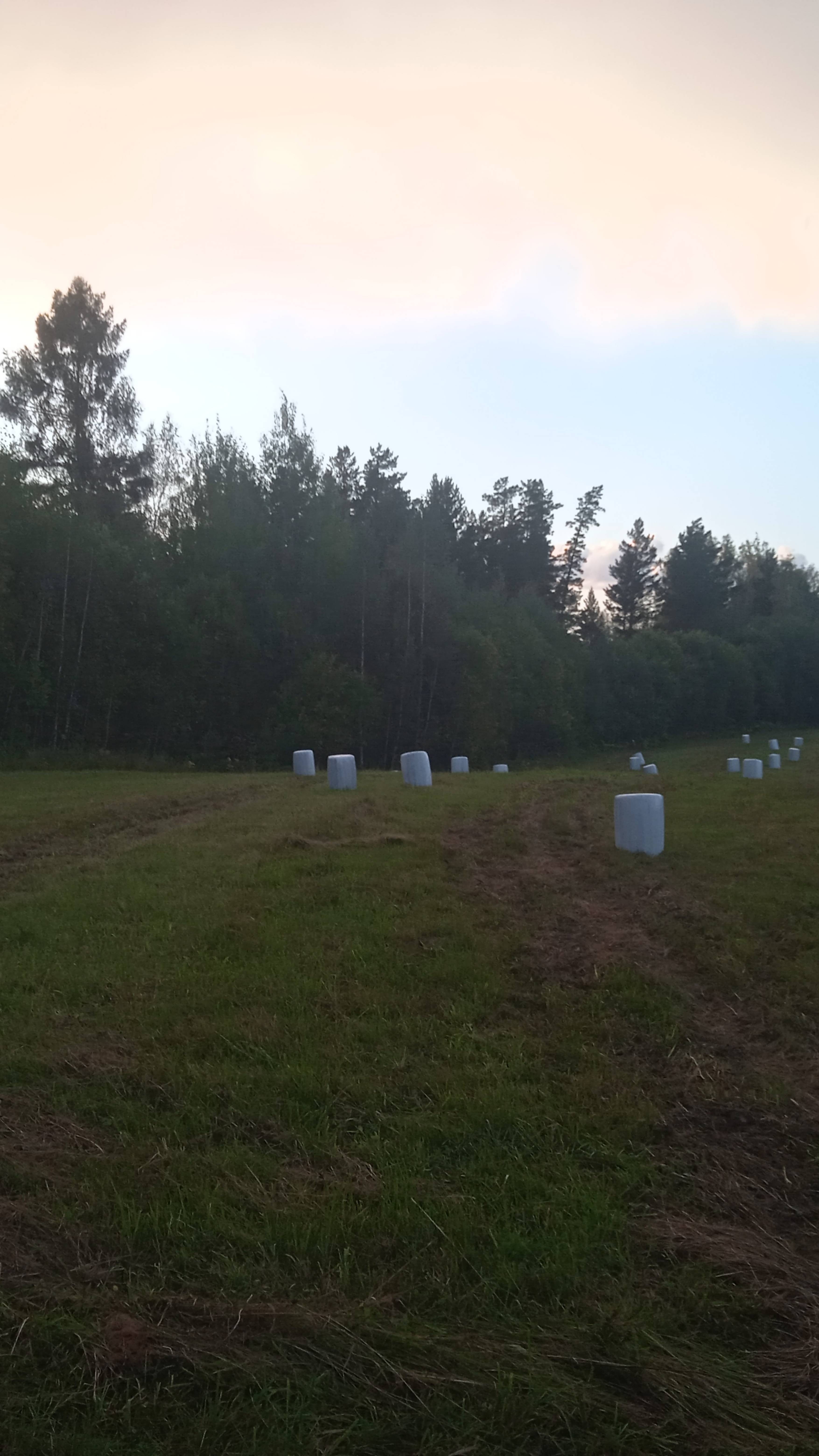 Т-25 с погрузчиком и прицепом , везу силос в минирулонах .