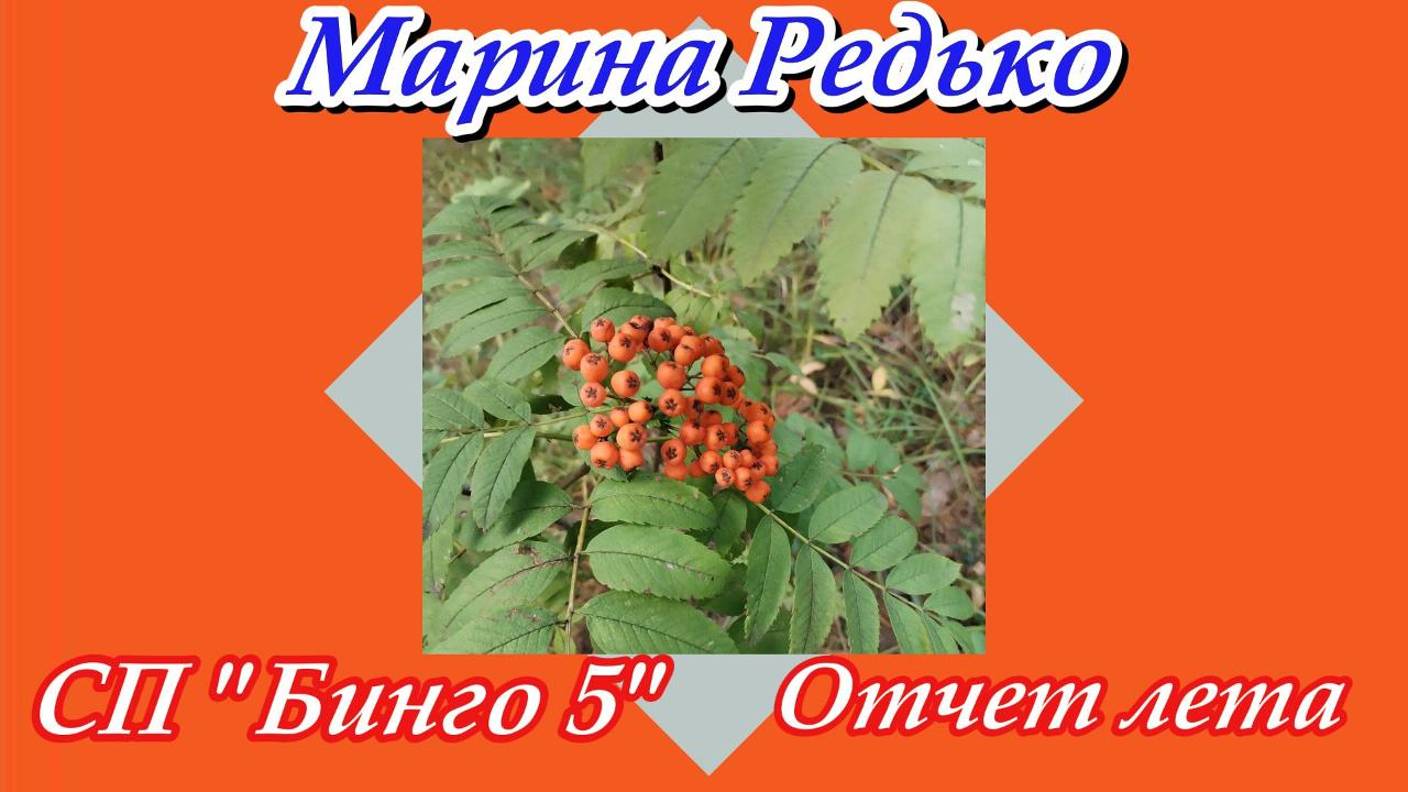 СП "Бинго 5" / Отчет лета