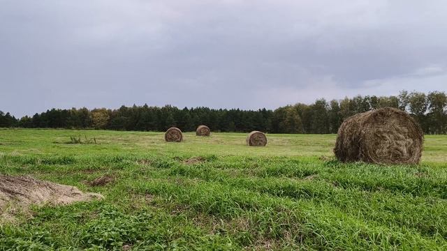 Наконечник. Поиск с металлоискателем EQUINOX 900 #21