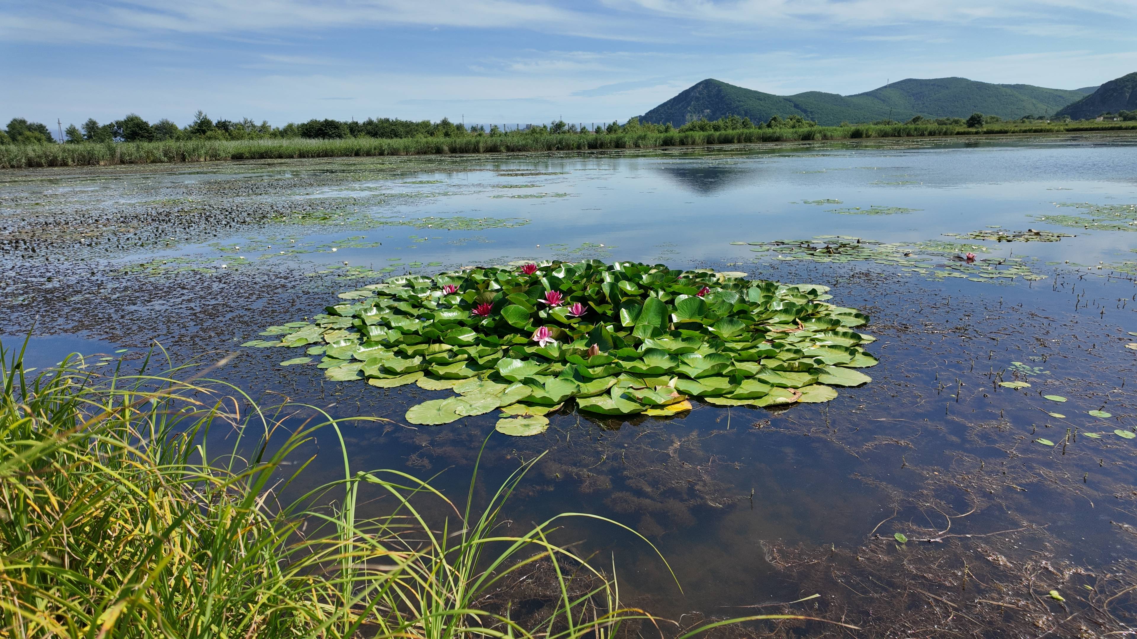 День прошёл