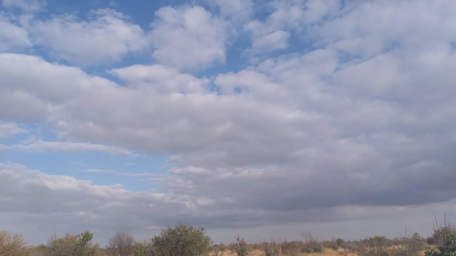 Подготовка к посеву.