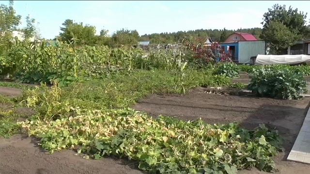 Планировка участка