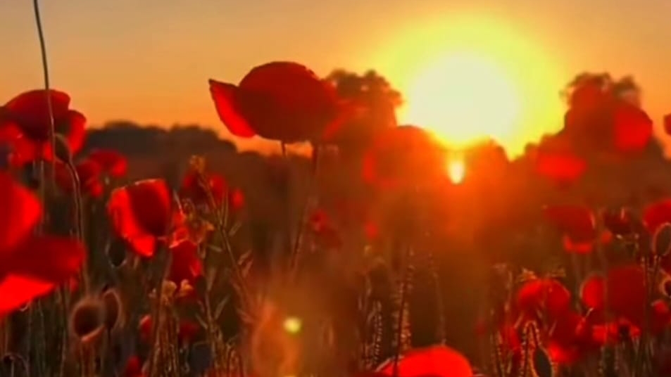 БАБЬЕ ЛЕТО. ОСЕНЬ.