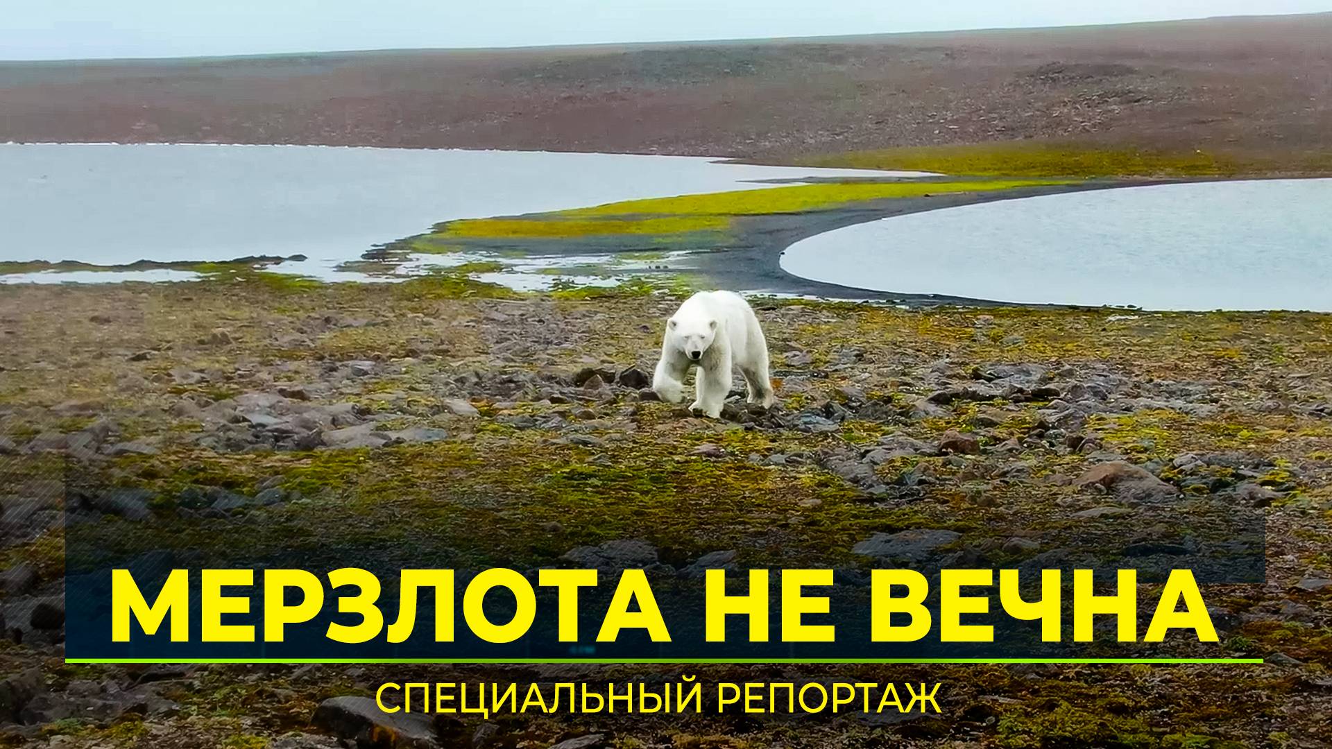 Глобальное потепление отражается на арктических территориях