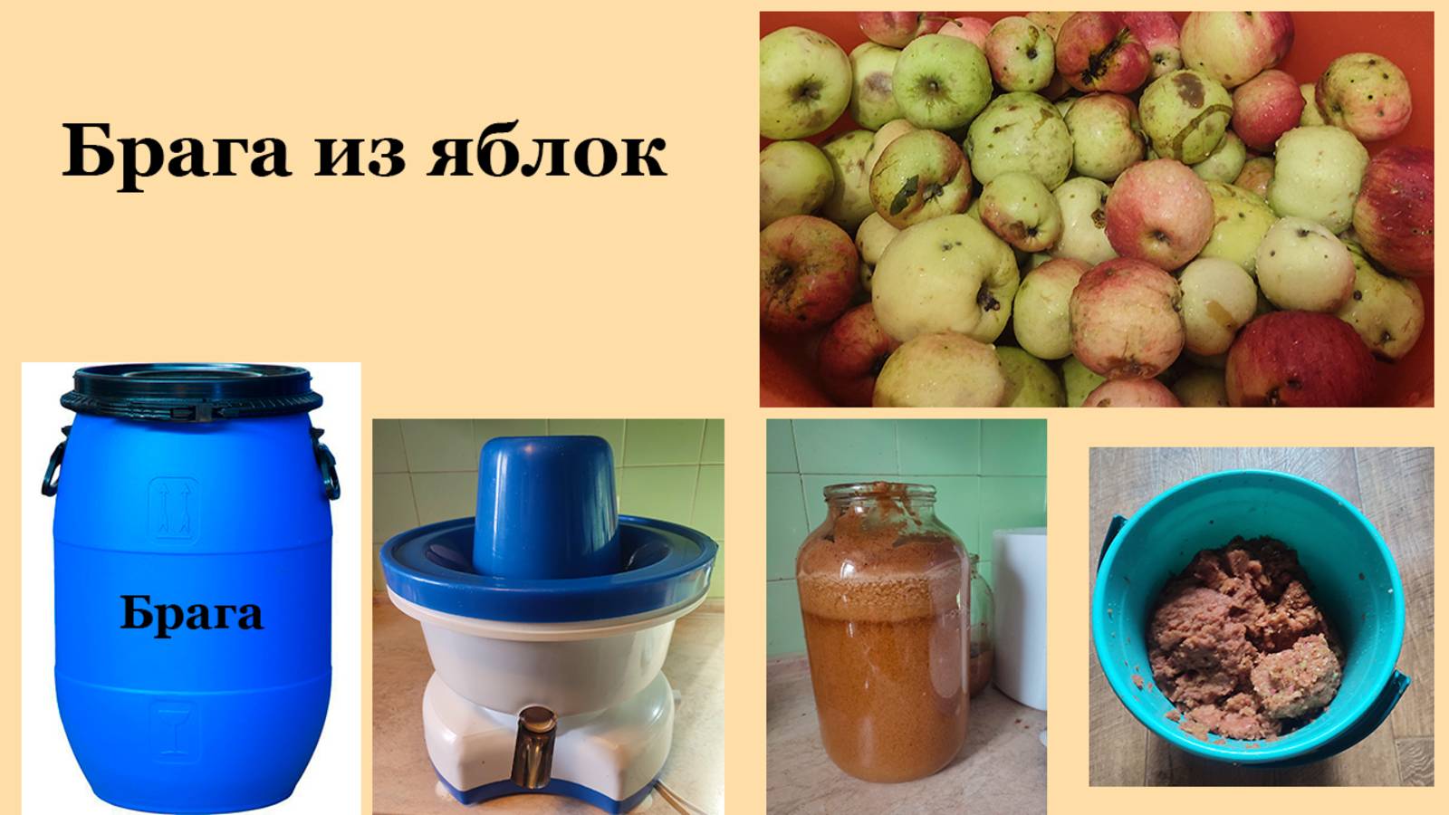 Брага из яблок.