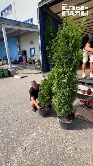 Весело и сообща разгрузили фуру на вставке АППМ!