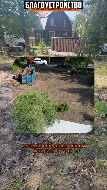 Расчистка в Белоострове: убираем мусор и выкорчевываем гигантские пни 🚜