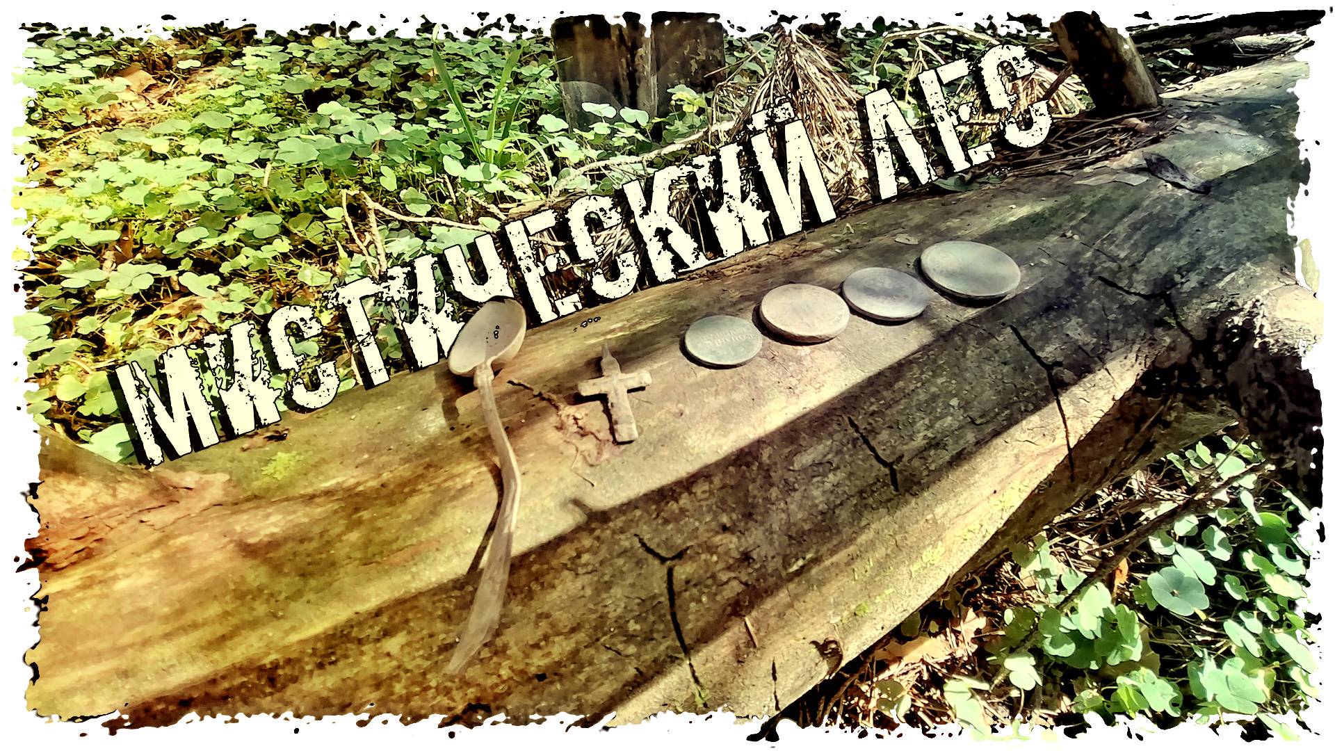 ПОИСКИ КЛАДОВ "МИСТИЧЕСКИЙ ЛЕС"