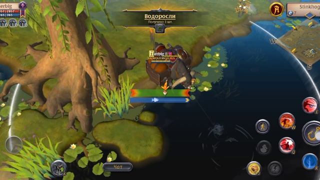 🌟 Альбион: Быстрая сборка на Премиум-аккаунт! 🎖️  08-09-2025