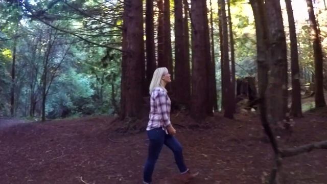 PICOPLUS -  мощный и универсальный пикосекундный лазер