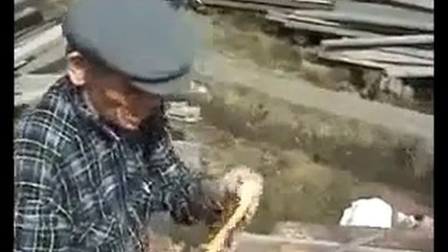 Дед делится древне-русскими знаниями это раньше знал каждый