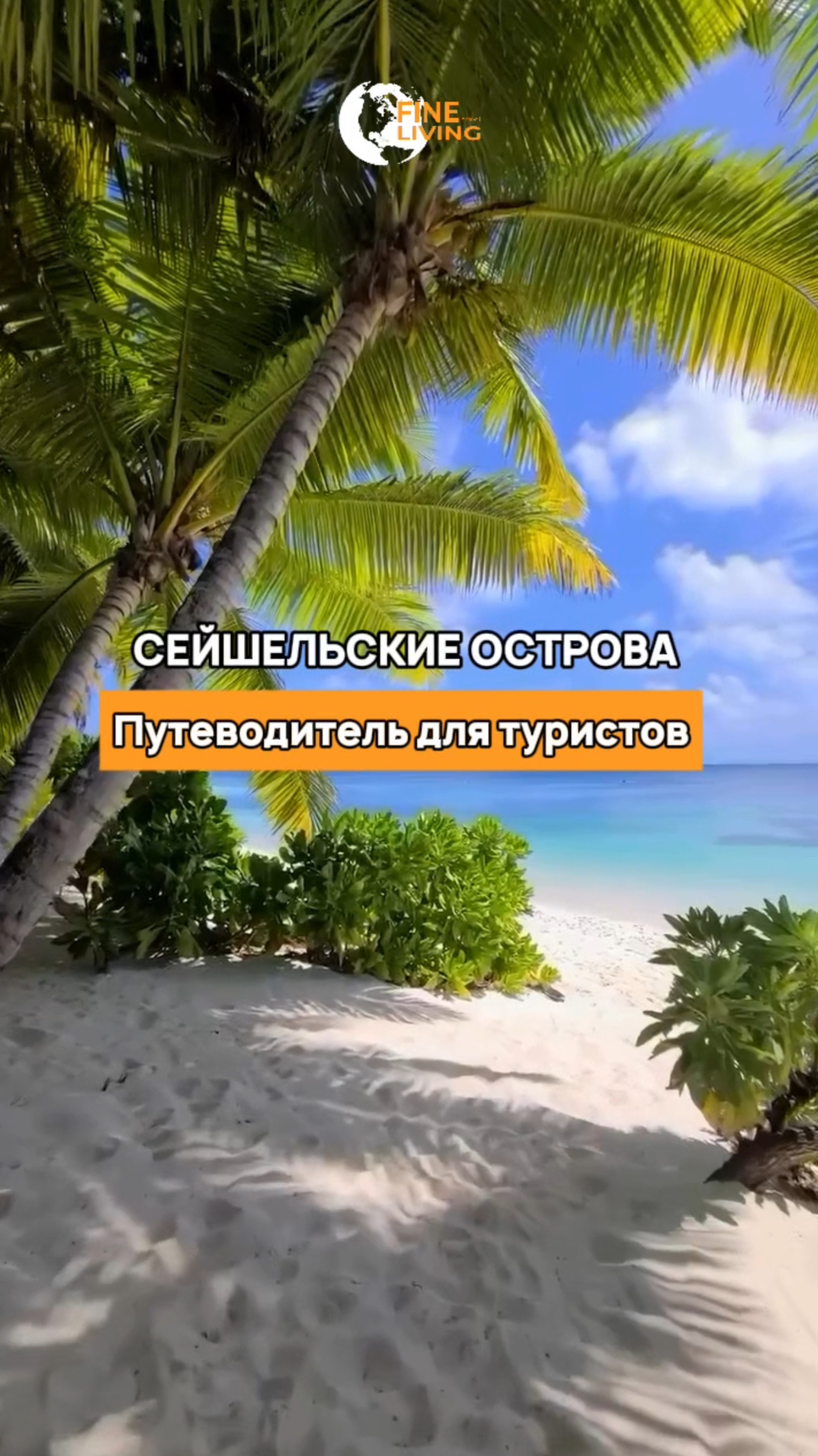 🌴 СЕЙШЕЛЫ: Когда мечта становится реальностью