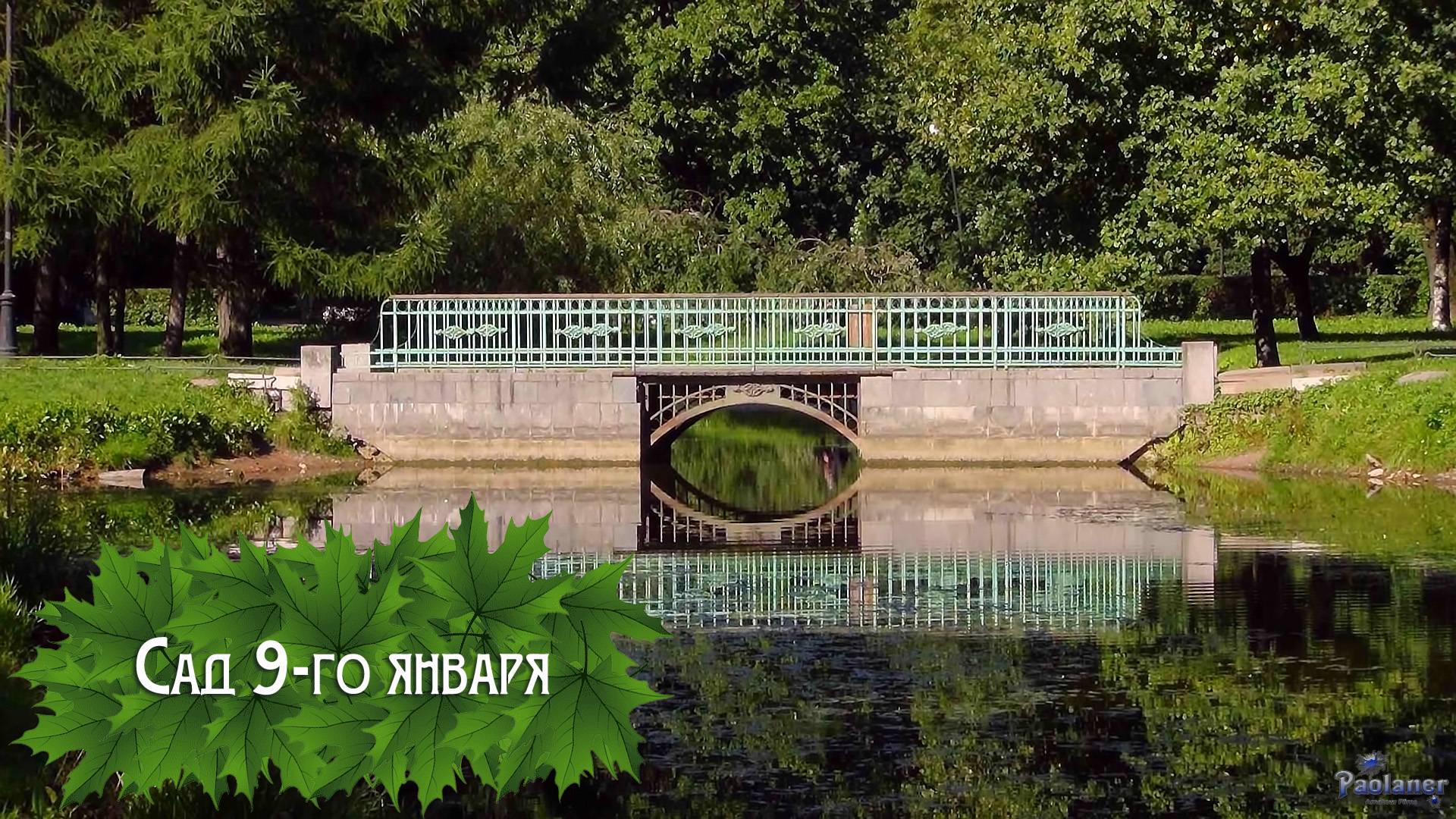 Сад 9-го января (2025)