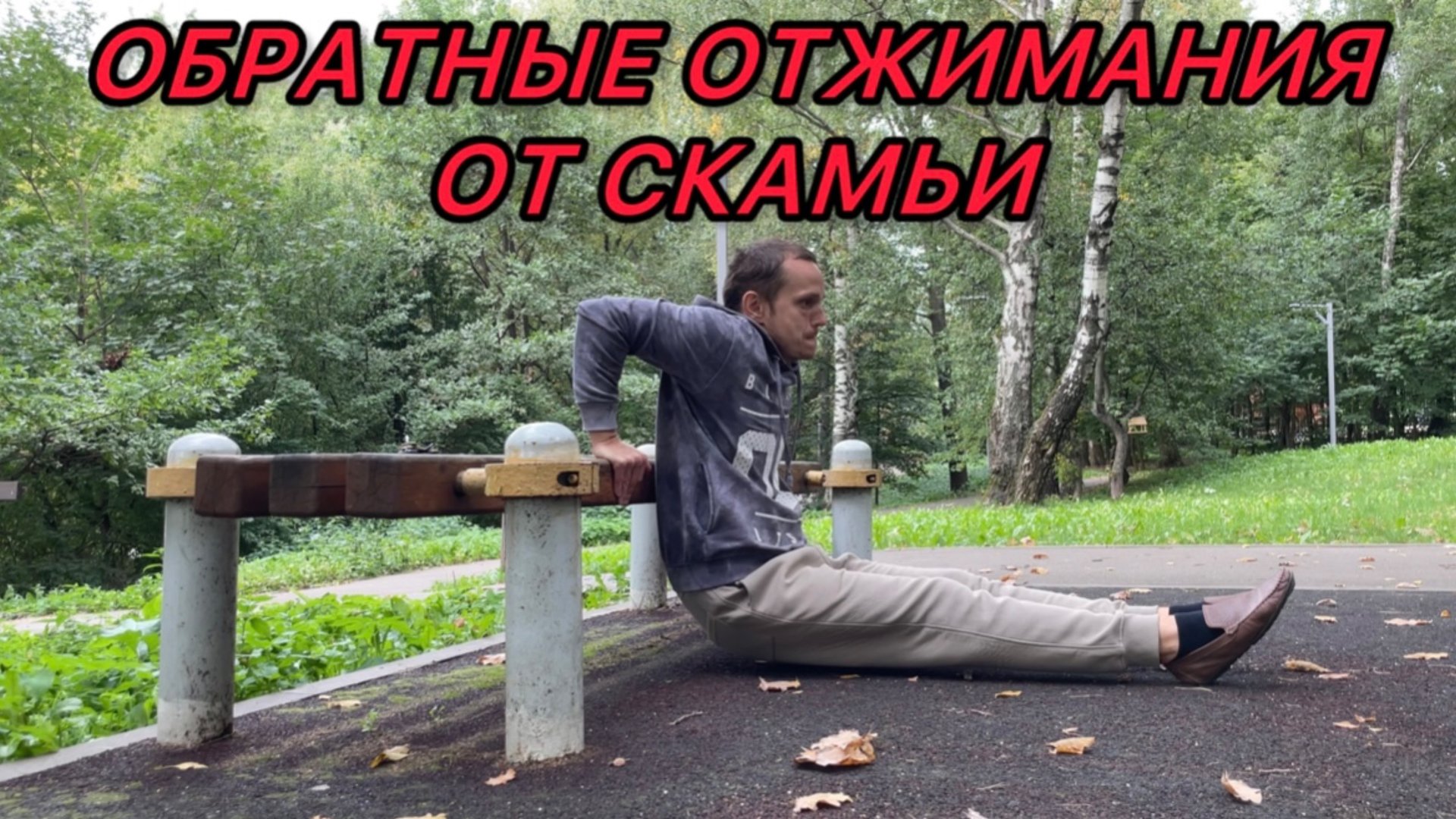 ОБРАТНЫЕ ОТЖИМАНИЯ ОТ СКАМЬИ
