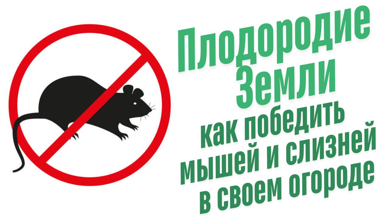 Борьба с вредителями.