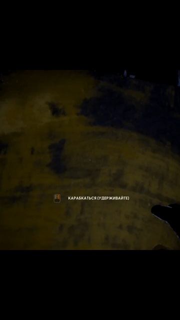 Still Wakes the Deep Shorts #14