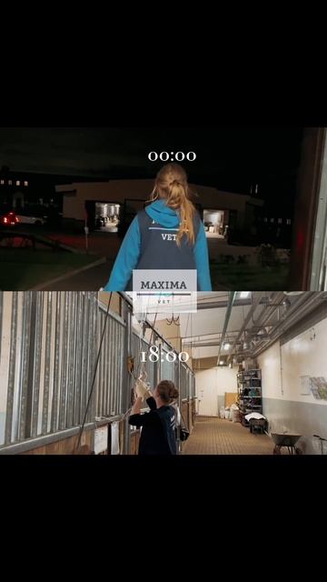 MAXIMA VET: Наш новый стационар!