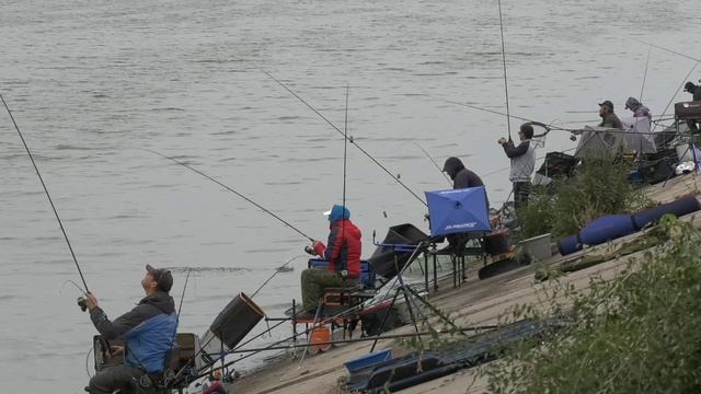 Чемпионат Воронежской области по фидеру сентябрь 2025