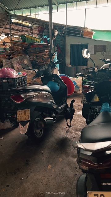 Вьетнамский рынок