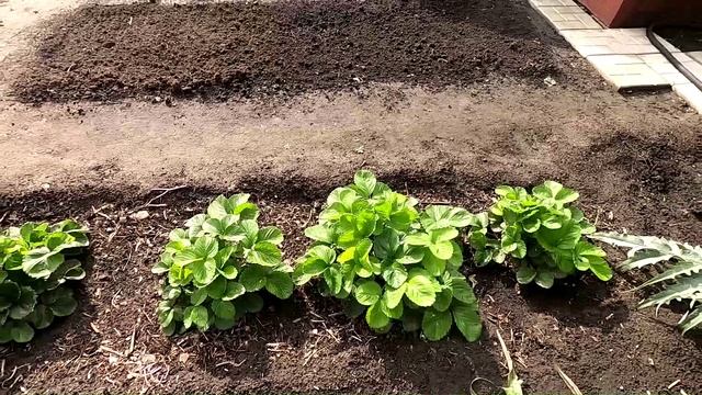 Участок 9 сентября